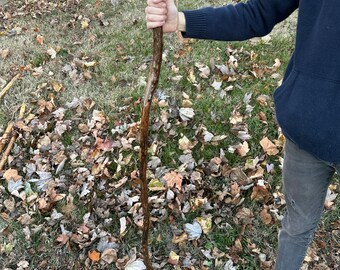 Walking Stick Decorations - Etsy