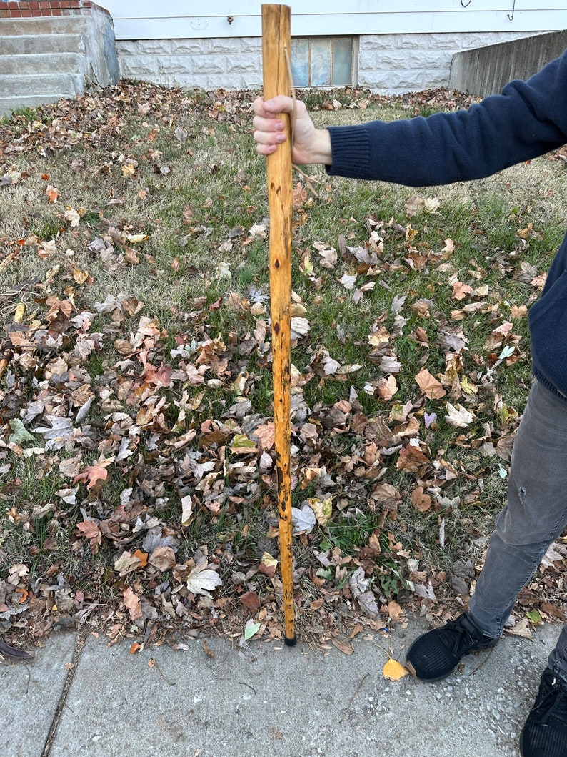 Walking Stick/hiking Stick/ Tall Hiking Stick - Etsy