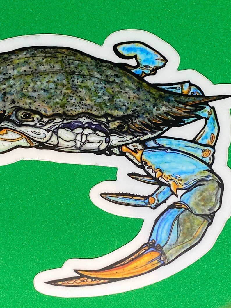 Sticker Maryland Blue Crab Etsy