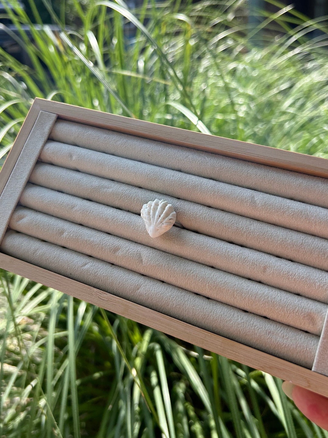 Kitten’s Paw Shell on Silver Ring // “cats Meow” // Coastal Jewerly ...