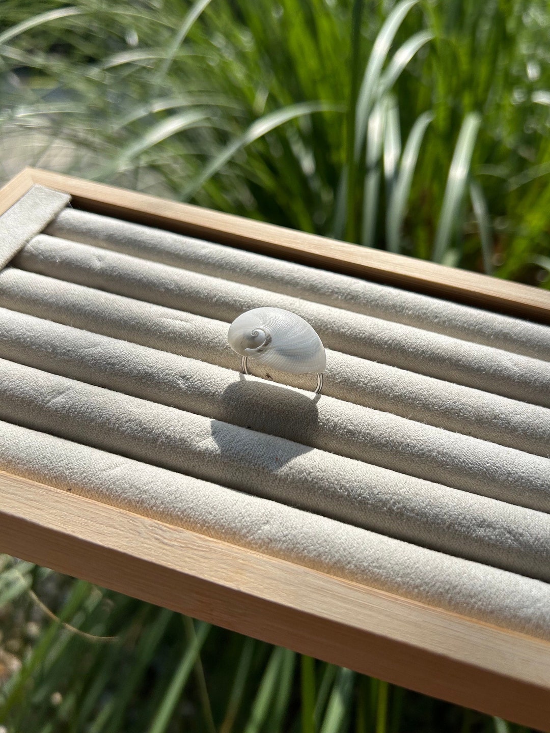 Baby’s Ear Seashell Silver Ring // Coastal // Baby’s Ear Shell // Big ...