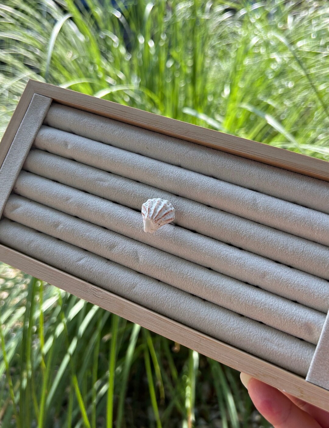 Kitten’s Paw Shell on Silver Ring // “kittens Meow” // Coastal Jewerly ...