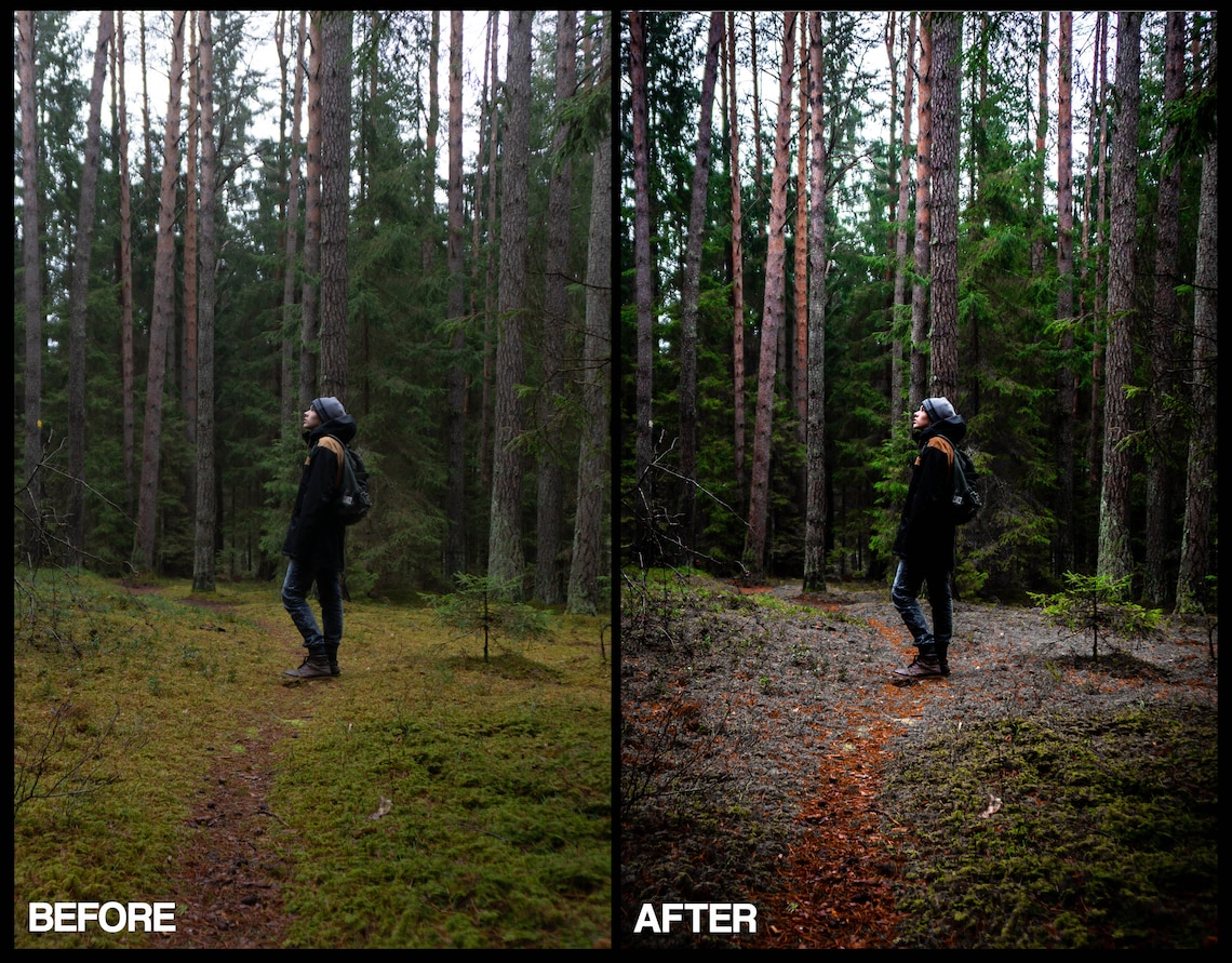 16 SONY Alpha Lightroom Presets, Desktop and Mobile Presets, Moody ...