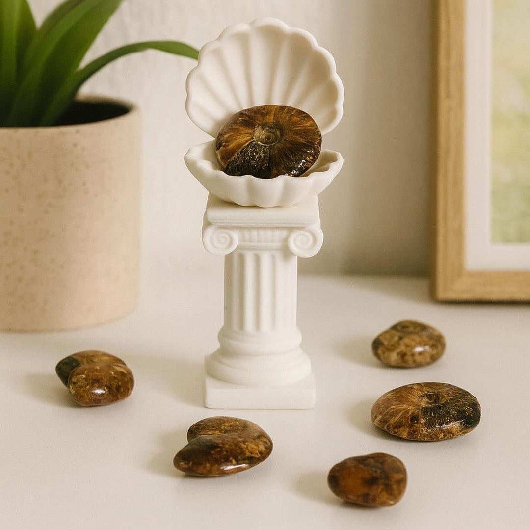 Roman Column Clam Shell Crystal Holder | White Stone Look Pedestal With ...