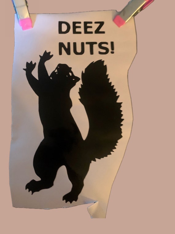 Deez Nuts Vinyl Decal Car Window Tumbler Notebooks - Etsy
