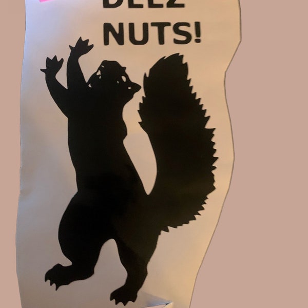 Deez Nuts Decal - Etsy