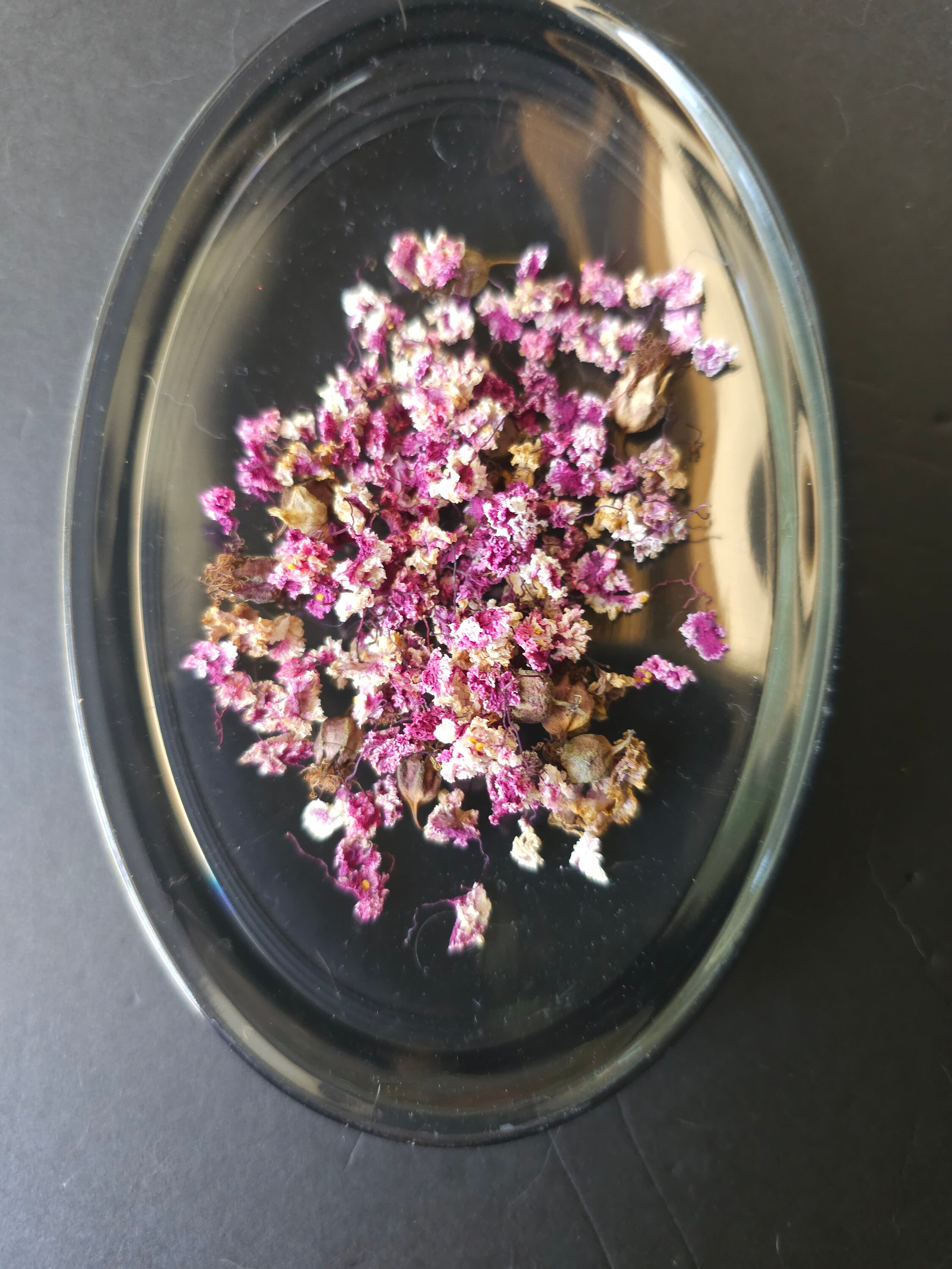 Pink Crape Myrtle Dried Flowers Crafts Soap Making - Etsy