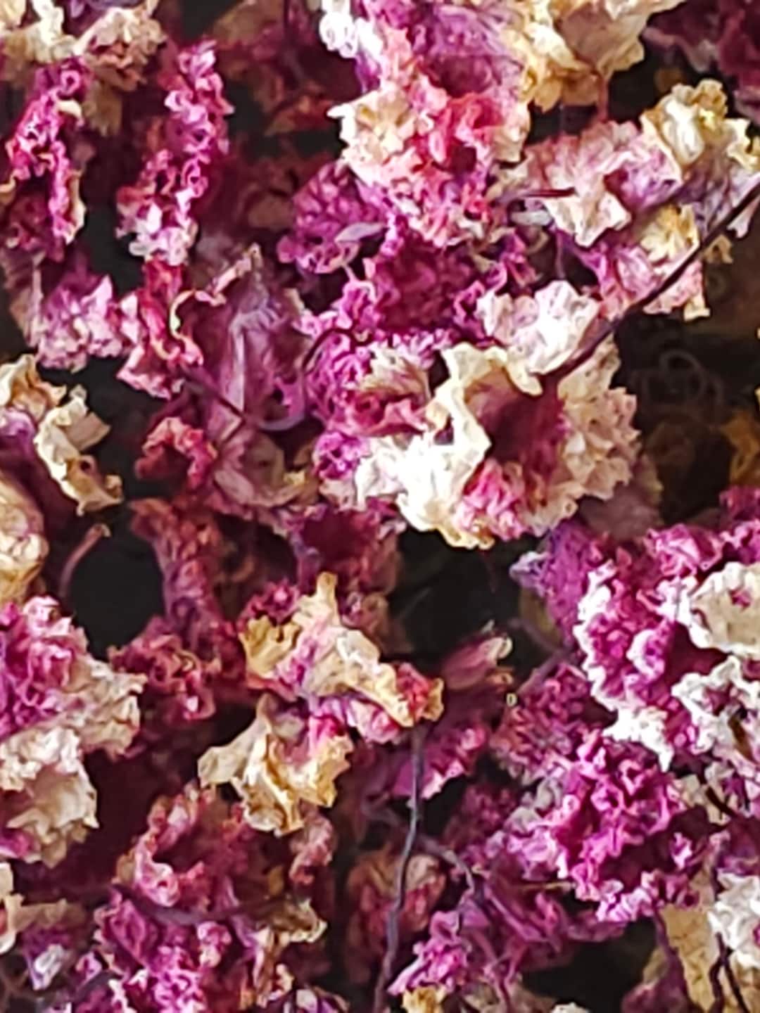 Pink Crape Myrtle Dried Flowers Crafts Soap Making - Etsy