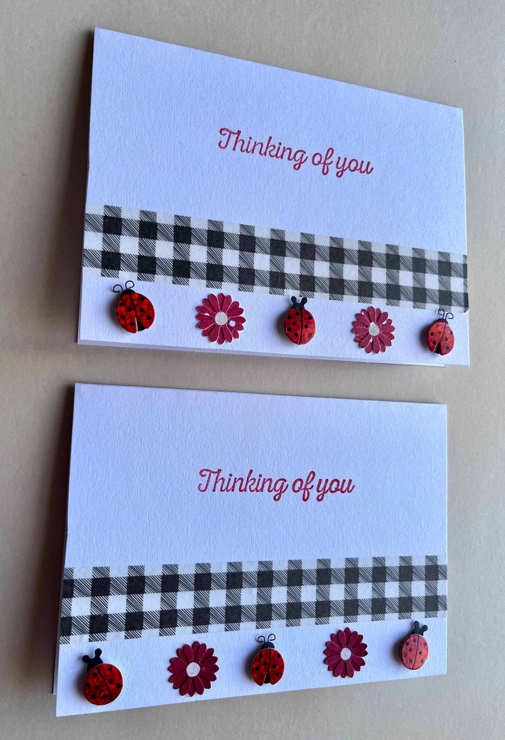 Ladybug “thinking of You” Notecards - Etsy