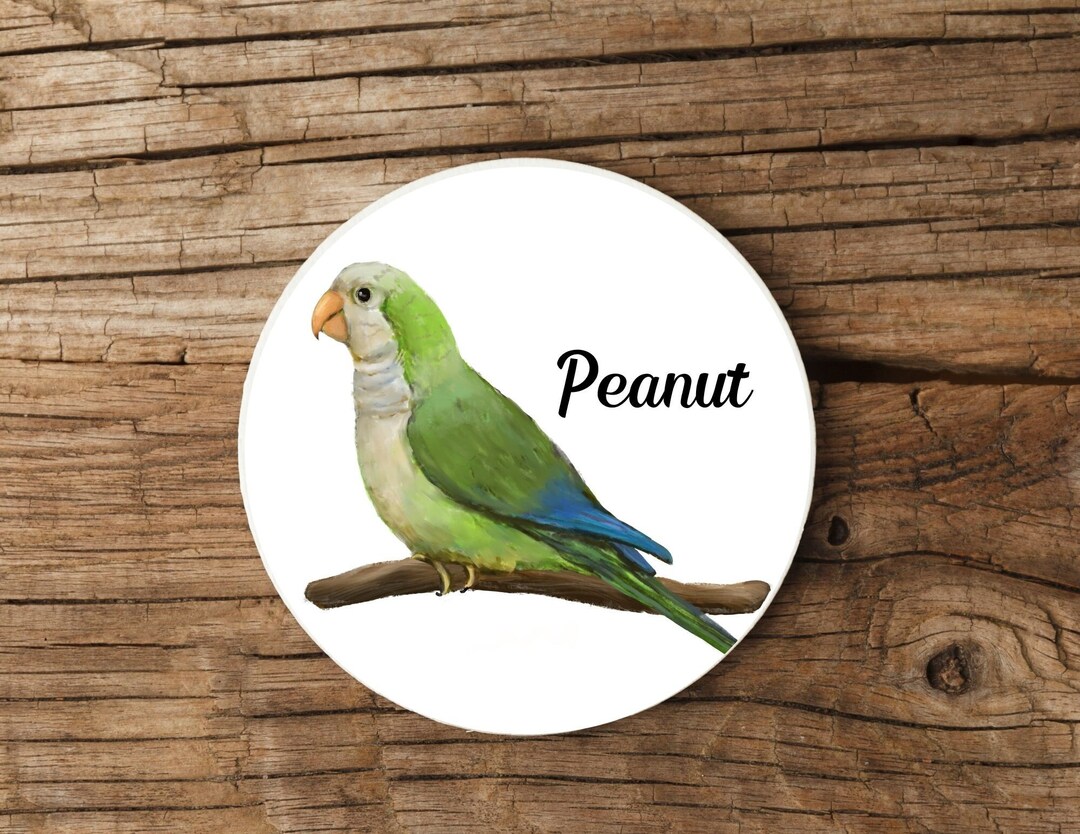 Green Quaker Parrot Coaster Set, Unique Monk Parakeet Coaster, Cute ...