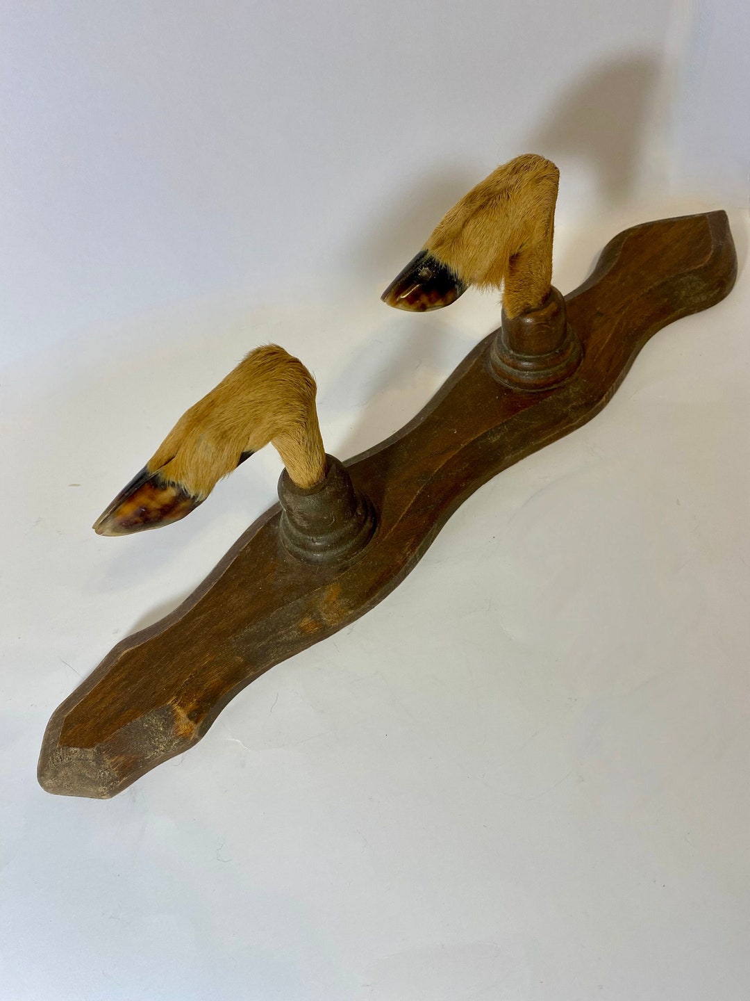 French Deer Hoof Foot Feet Gun Rack, Taxidermy, Deer Foot Holder Plague ...