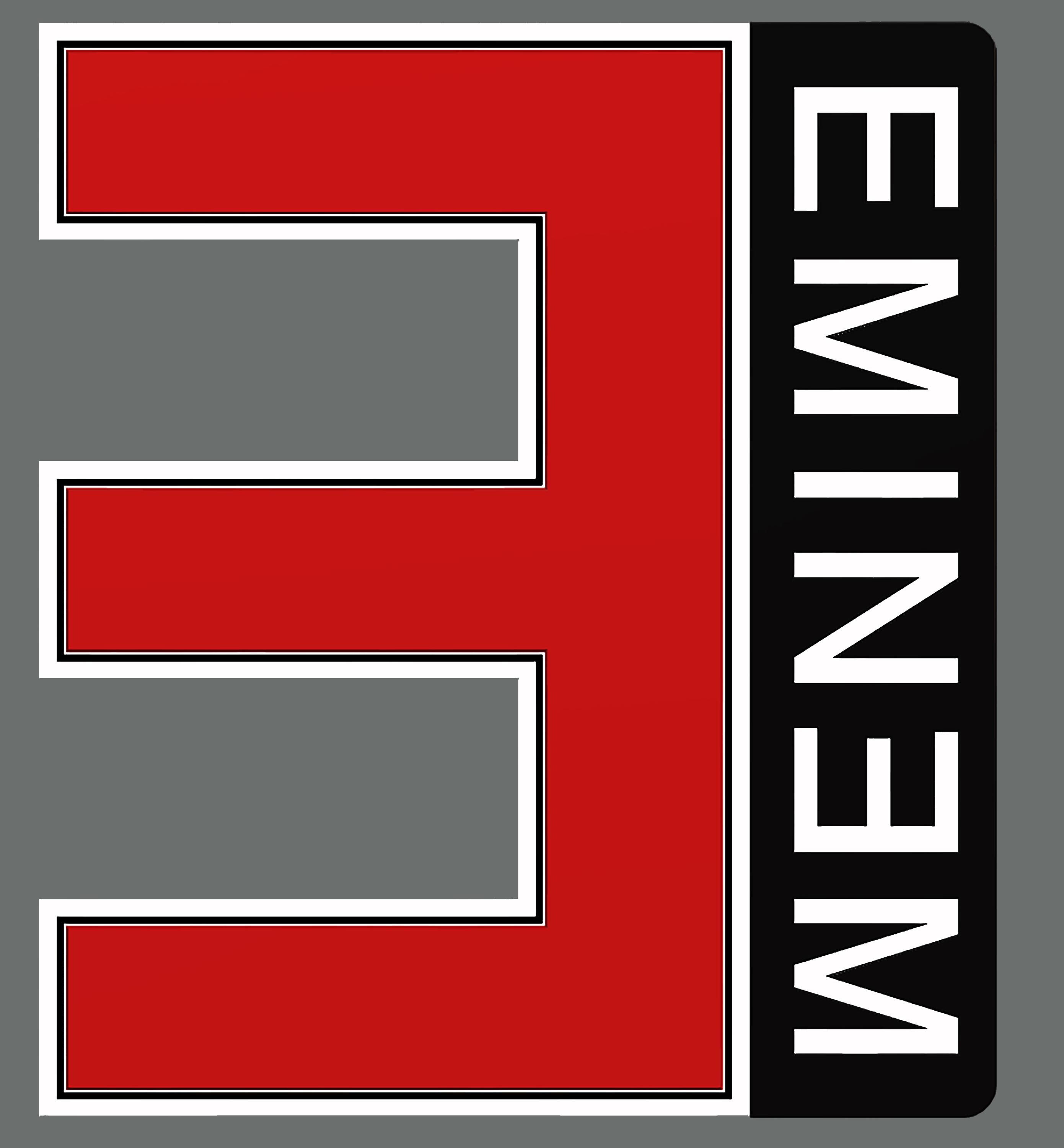 Eminem "e" Wall Art 3D Printed (floating) - Etsy