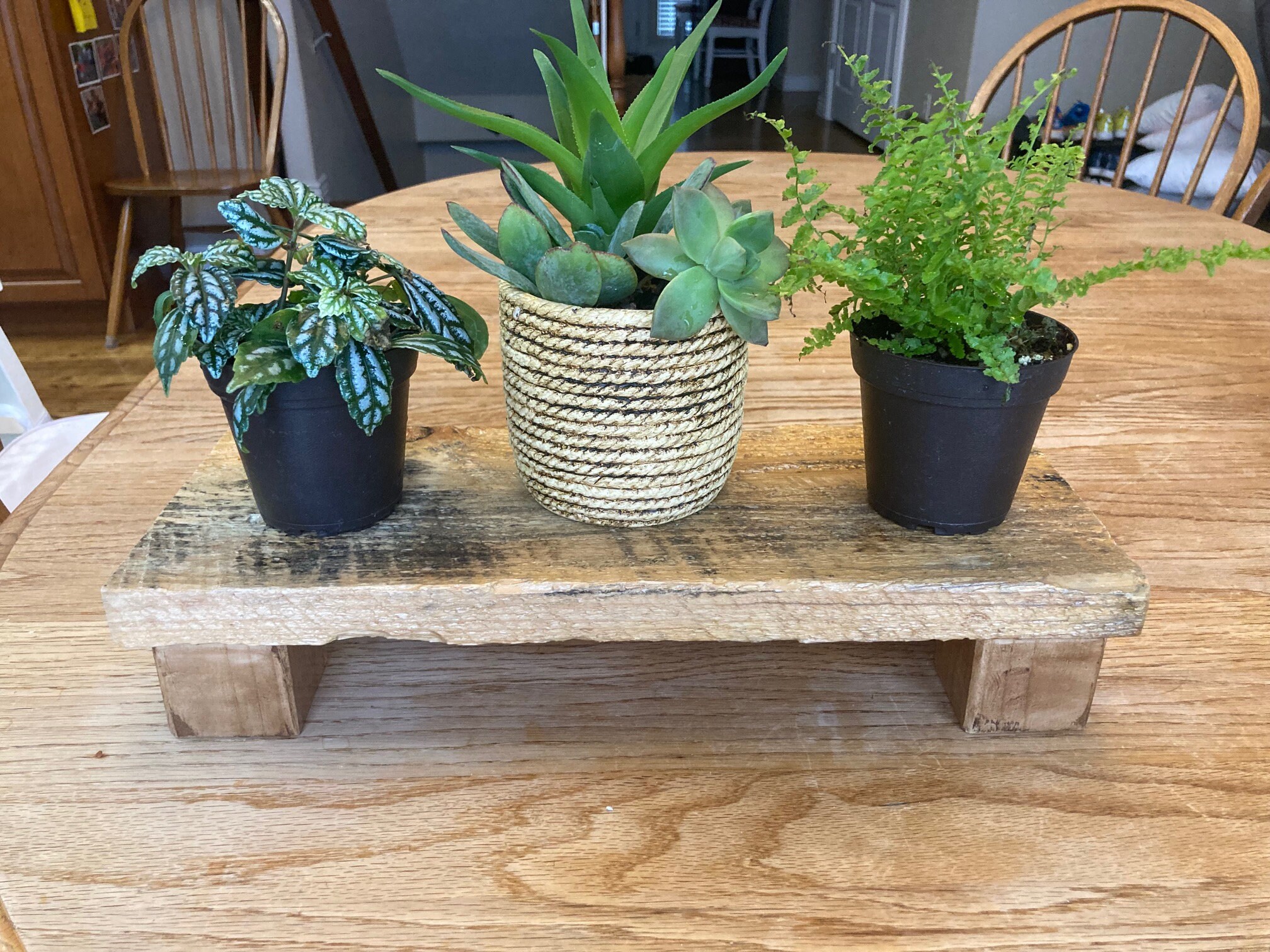 Farmhouse / Rustic Wood Stand - Etsy
