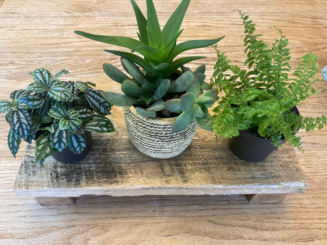 Farmhouse / Rustic Wood Stand - Etsy