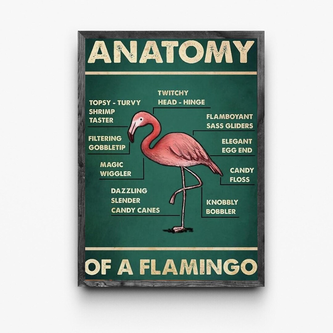 Vintage Anatomy of A Flamingo Art Poster, Pink Flamingos Art Print, Ad Retro Poster Print, Wall ...