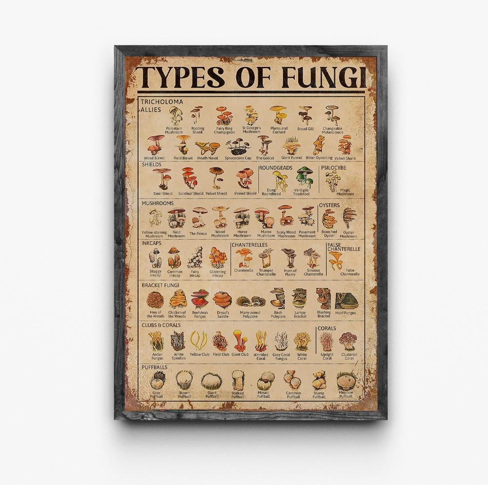 Vintage Mushroom Knowledge Poster, Types of Fungi, Mushroom Art Wall ...