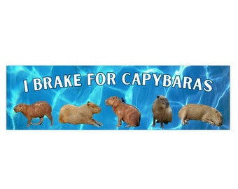 Capybara Ok I Pull up Car - Etsy