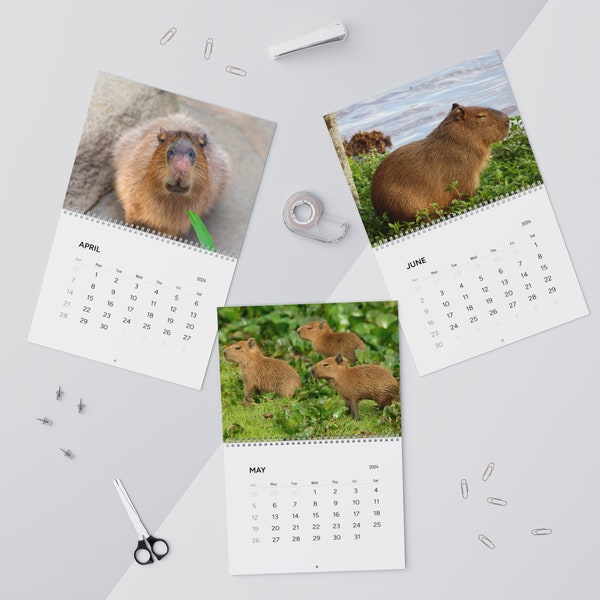 2024 Capybara - Etsy