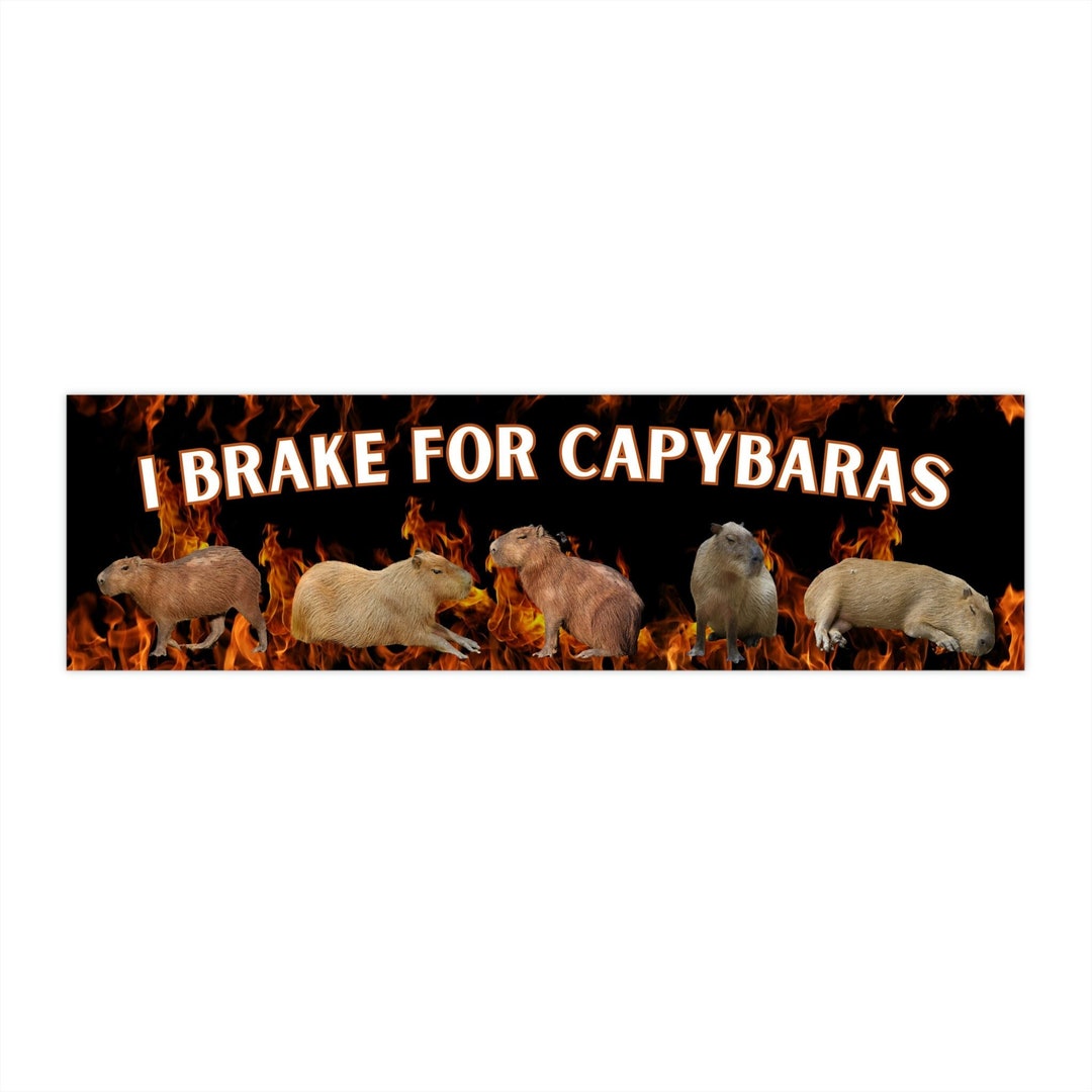 I Brake for Capybaras Bumper Sticker Ok I Pull up Gift for Animal Lover ...