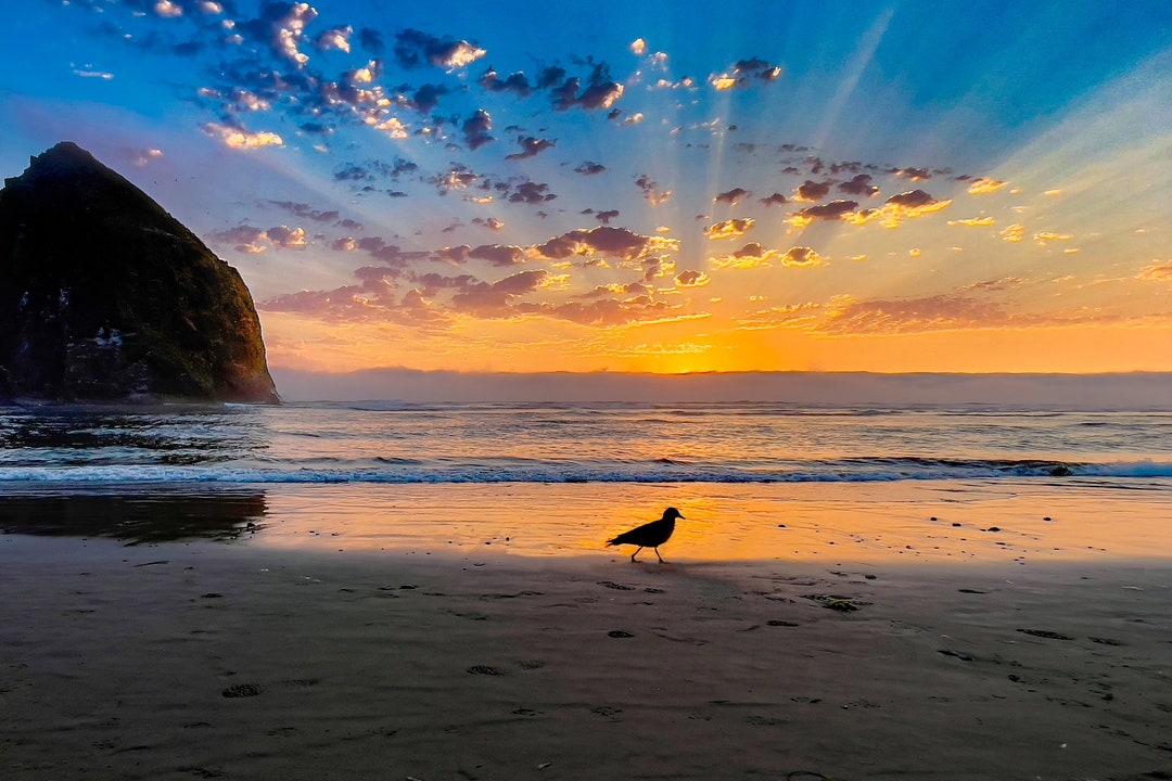 God Rays Sunset Haystack Rock Cannon Beach, OR - Etsy