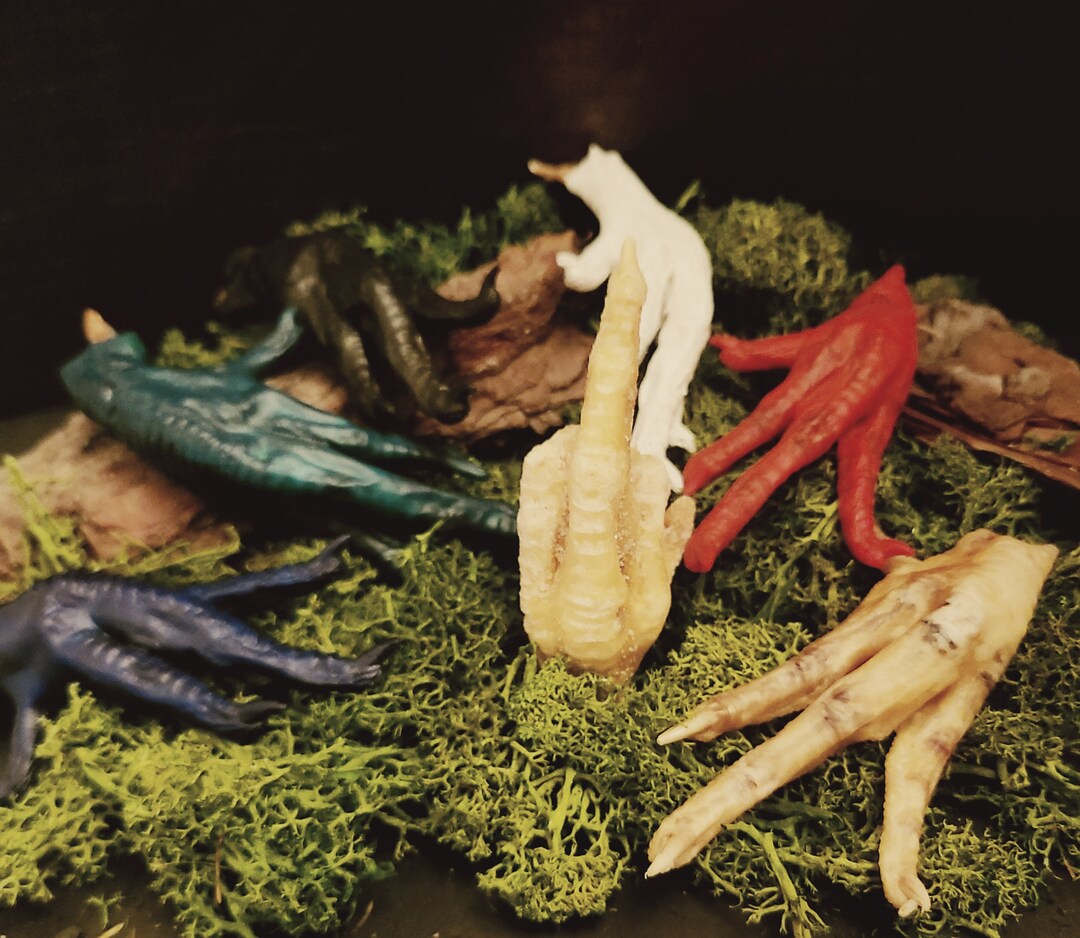 Mama Conjure's Chicken Feet - Etsy