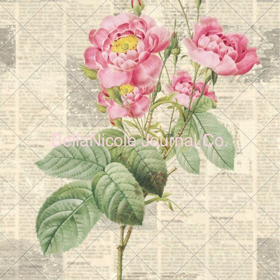 Flowers & Script, Digital Printable Images, Peacock/script - Etsy