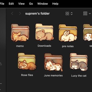 Sleepy Animal Desktop Folder Organizer Icon Set | Cute Hand-drawn ...