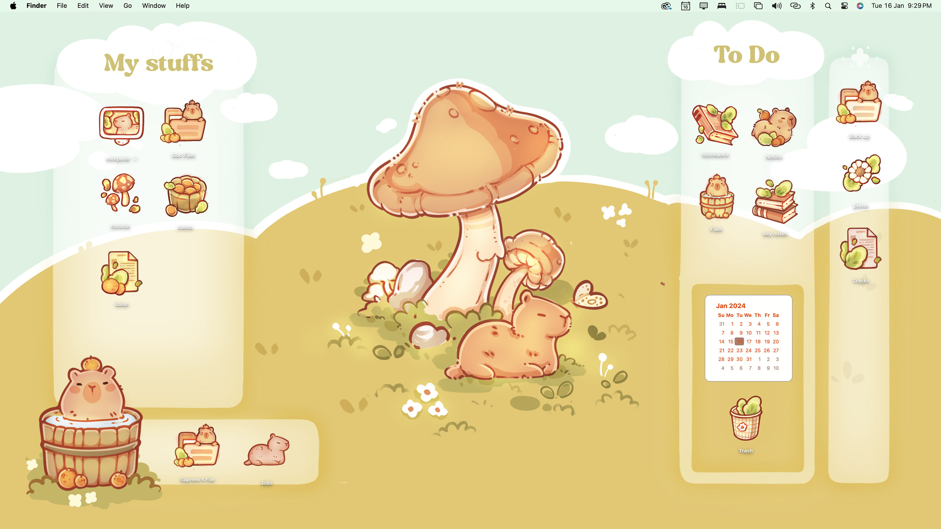 Capybara Orange Desktop Theme Background Wallpaper Organizer Set Lofi ...