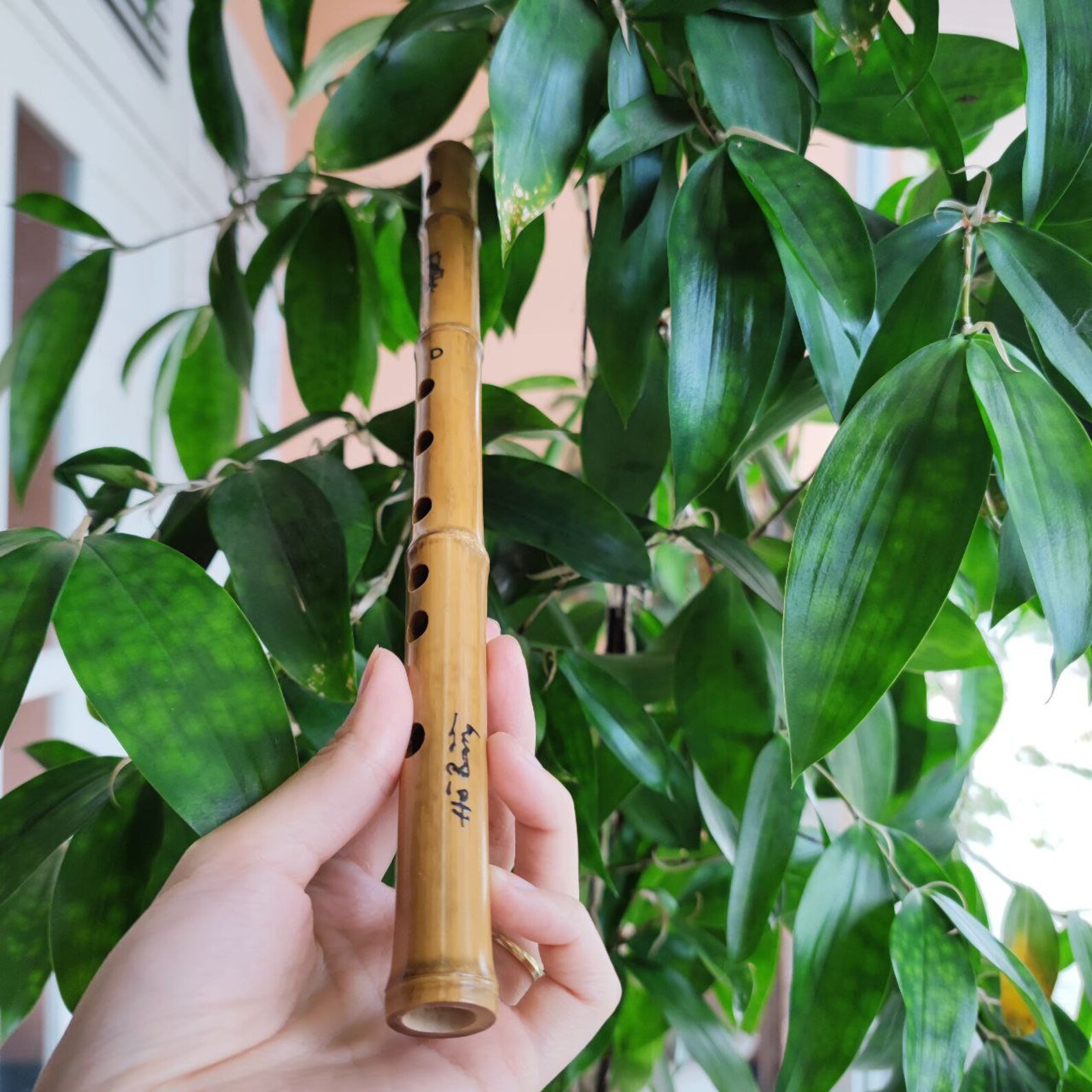 Flute Super Short Flute Northern Bamboo Flute Gift for Musician Music ...