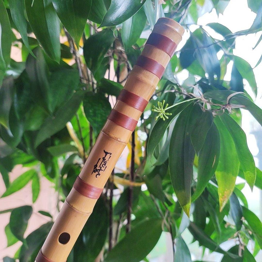 Handmade Northern Bamboo Dizi Flute Instrument: 440hz, Key D/F ...