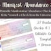 Printable Manifestation Abundance Checks and Canva Editable Abundance ...