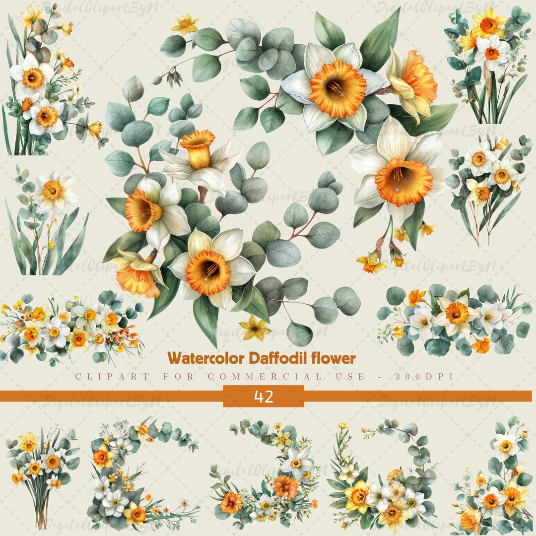 Watercolor Daffodil Flower Clipart Bundle Spring Floral Daffodil ...