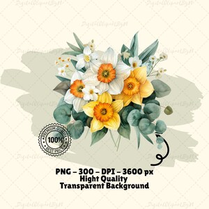 Watercolor Daffodil Flower Clipart Bundle | Spring Floral Daffodil ...