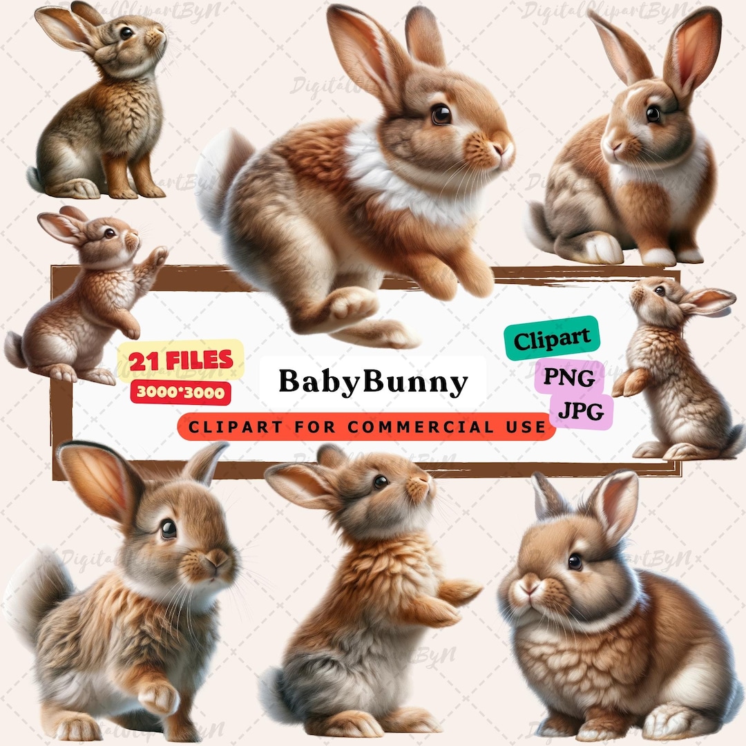 Cute Baby Bunny Bundle, Baby Bunny Clipart, Baby Bunnies PNG and JPG ...