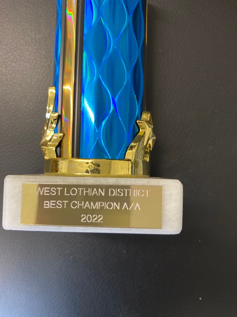 Personalised Trophy Engraving Plate 50mm X 15mm - Etsy Australia