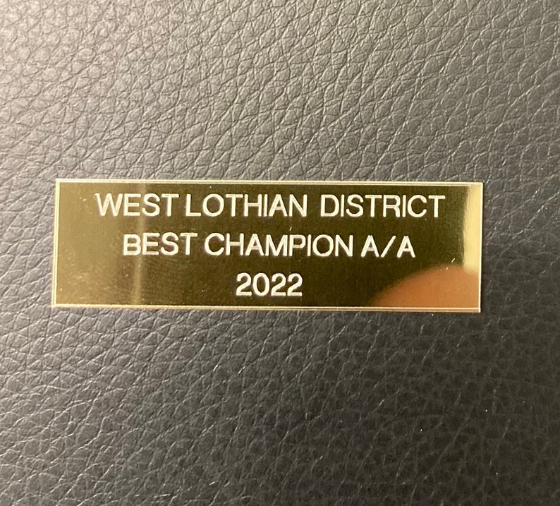 Personalised Trophy Engraving Plate 50mm X 15mm - Etsy