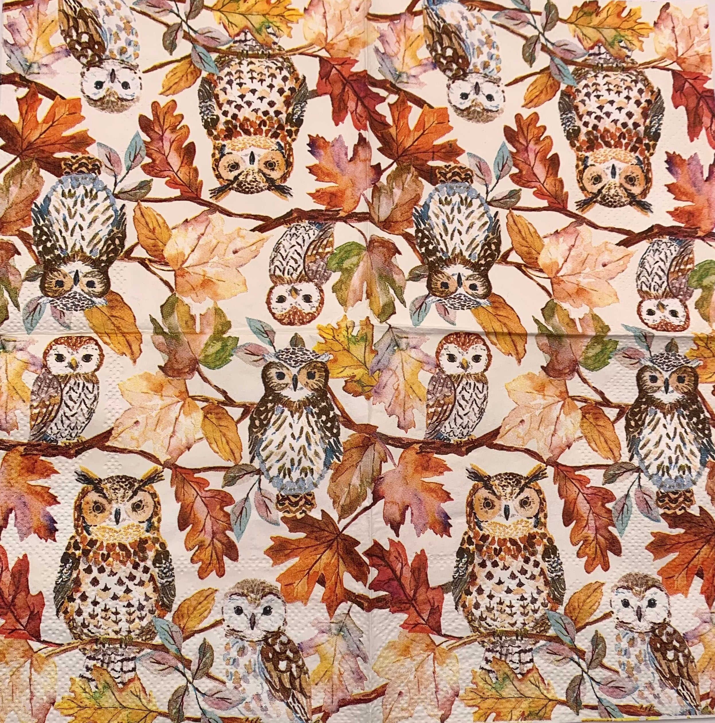 3 Owl Paper Napkins for Decoupage, 3 Individual Cocktail Napkins - Etsy