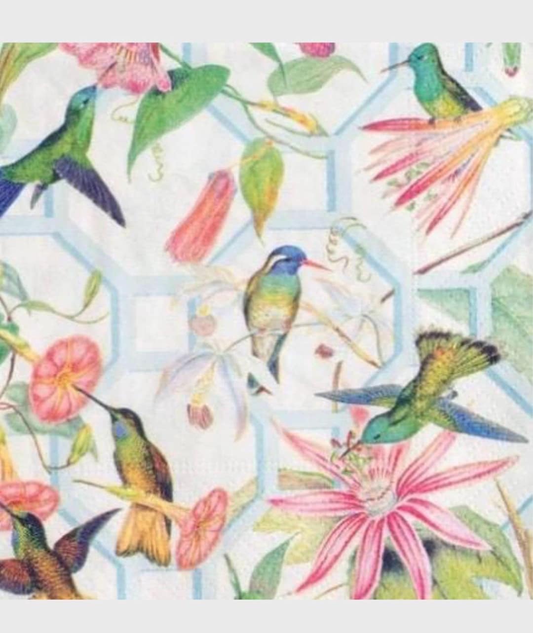 Decoupage Napkins, Hummingbird Paper Napkins, 3 Individual Floral Bird ...