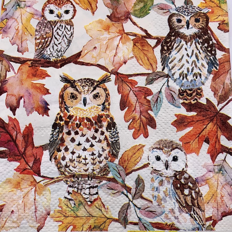 Fall Owl Paper Napkins - Etsy