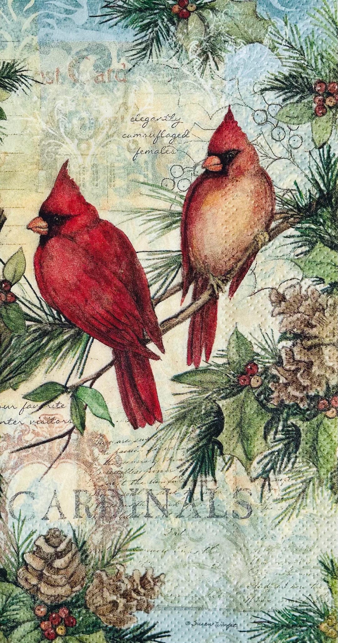 Decoupage Napkins, Cardinal Paper Napkins, 2 Individual Bird Guest Size ...