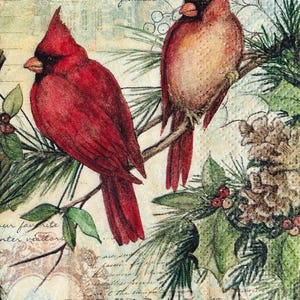 Decoupage Napkins, Cardinal Paper Napkins, 2 Individual Bird Guest Size ...