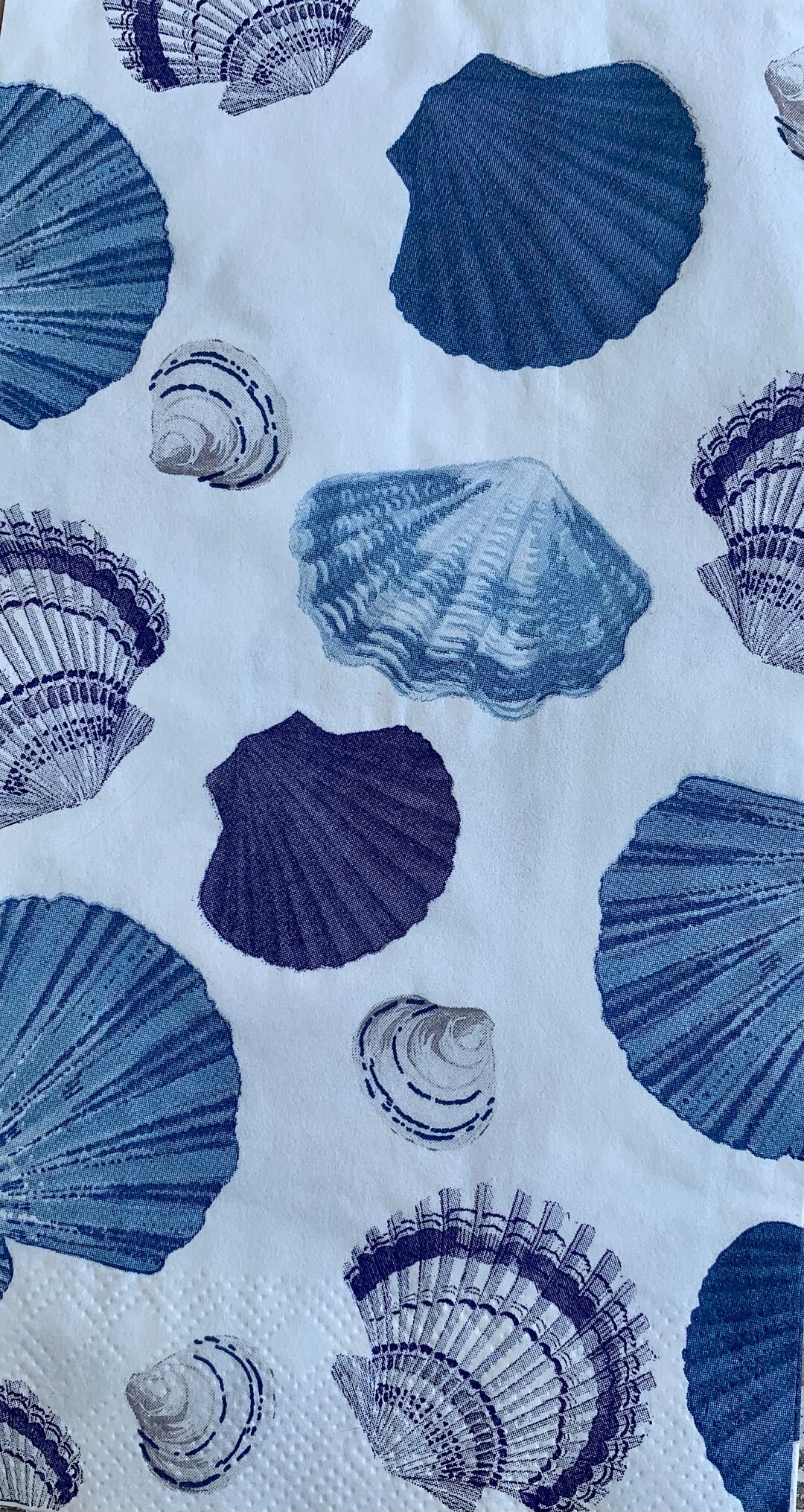Seashell Decoupage Napkins, 2 Blue and White Shell Paper Guest Size ...