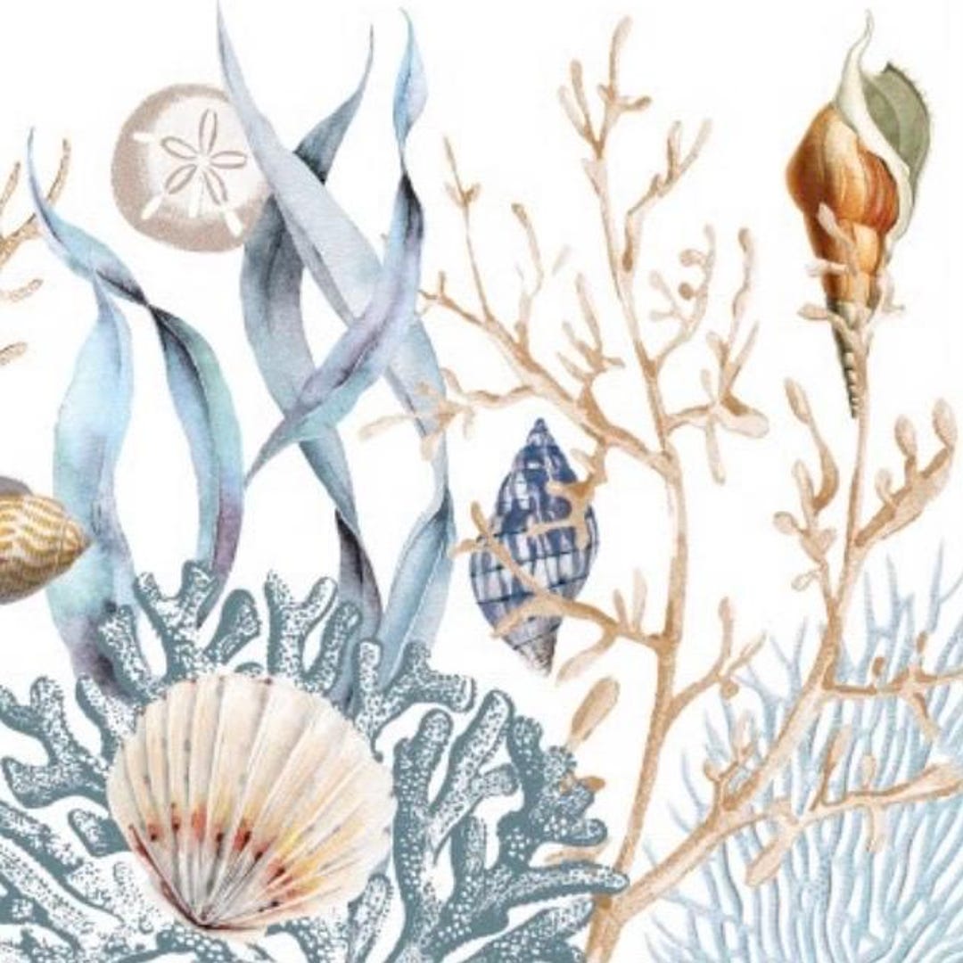 Decoupage Napkins, Coral Seashell Paper Napkins, 3 Individual Nautical ...