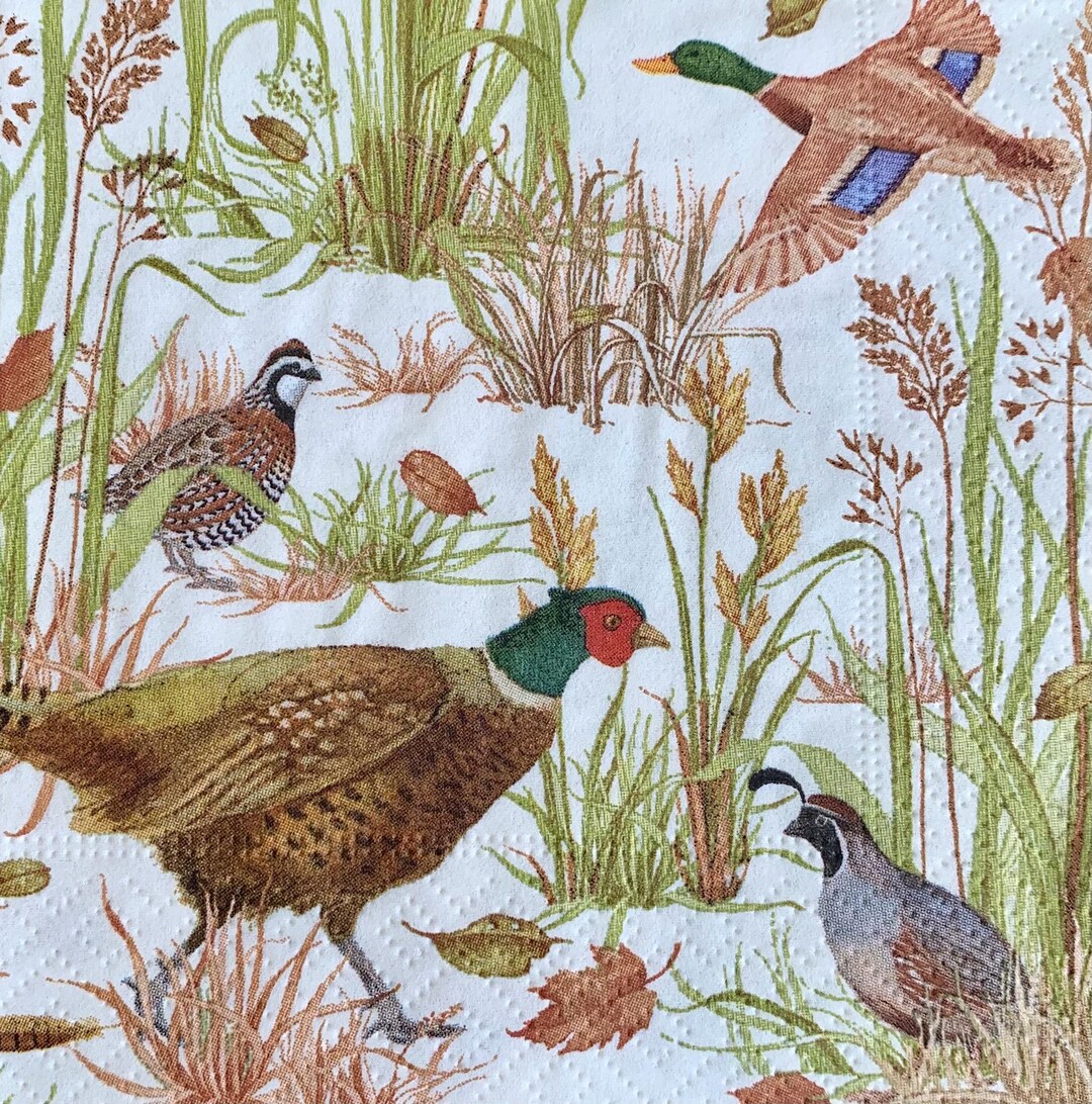 Decoupage Napkins, Duck Pheasant Paper Napkins, 3 Individual Hunting ...