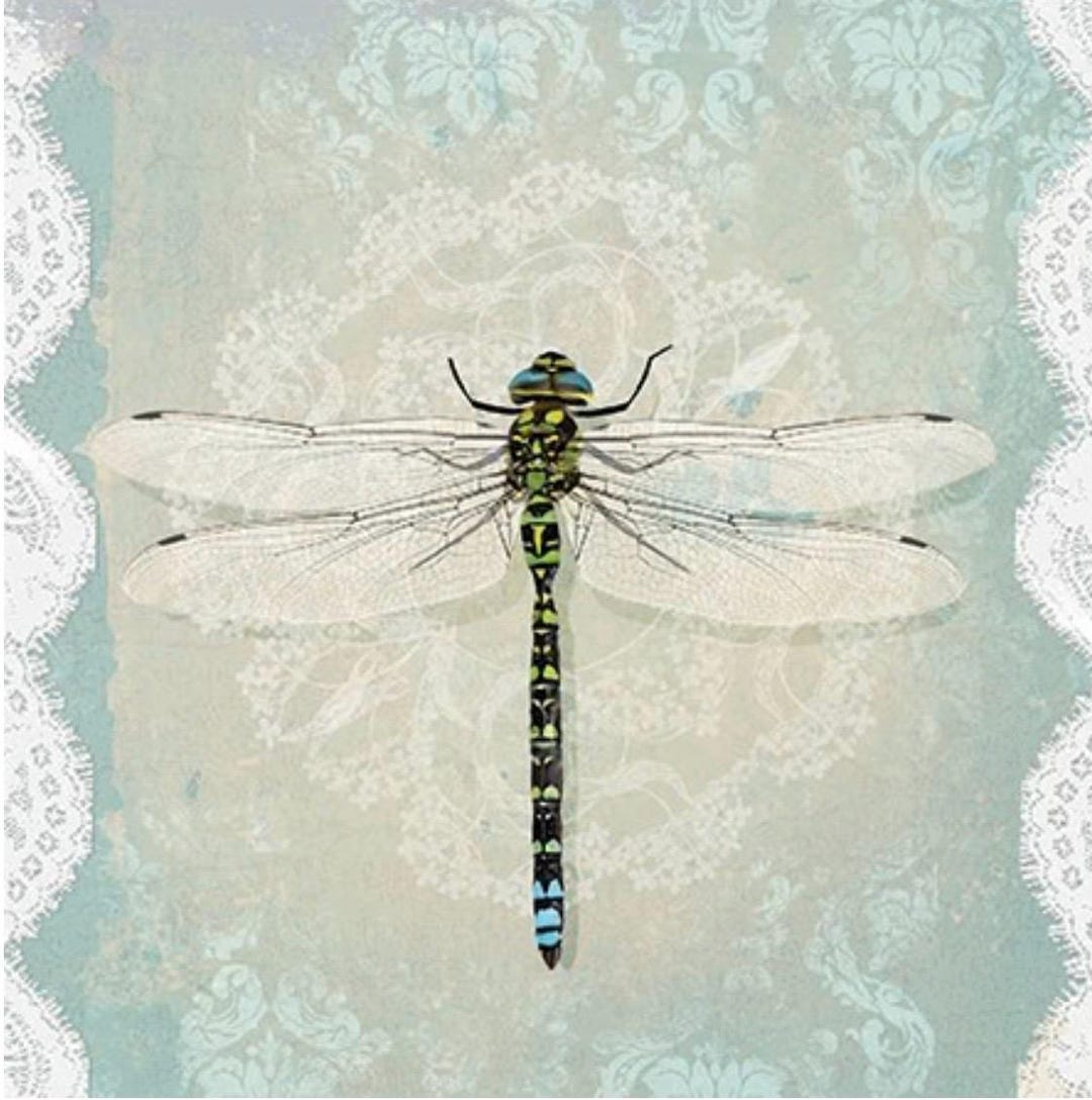 Decoupage Napkins, Dragonfly Paper Napkins, 3 Individual Insect ...