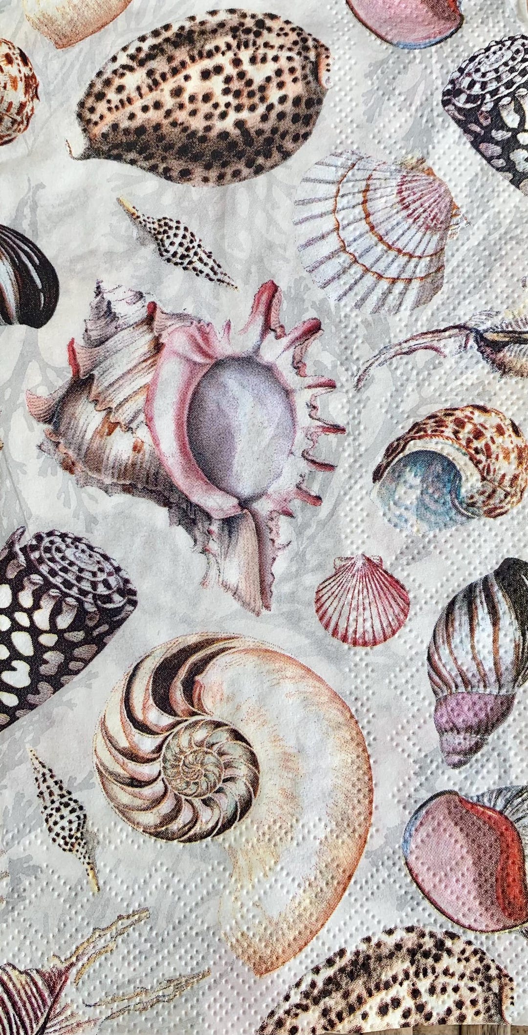 Sea Shell Decoupage, Beach Shell Paper Napkins, 2 Guest Size Colorful ...