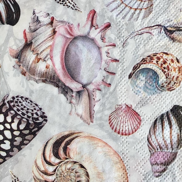 Decoupage Conch Shells - Etsy