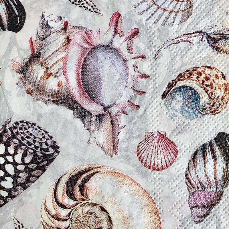 Decoupage Conch Shells - Etsy