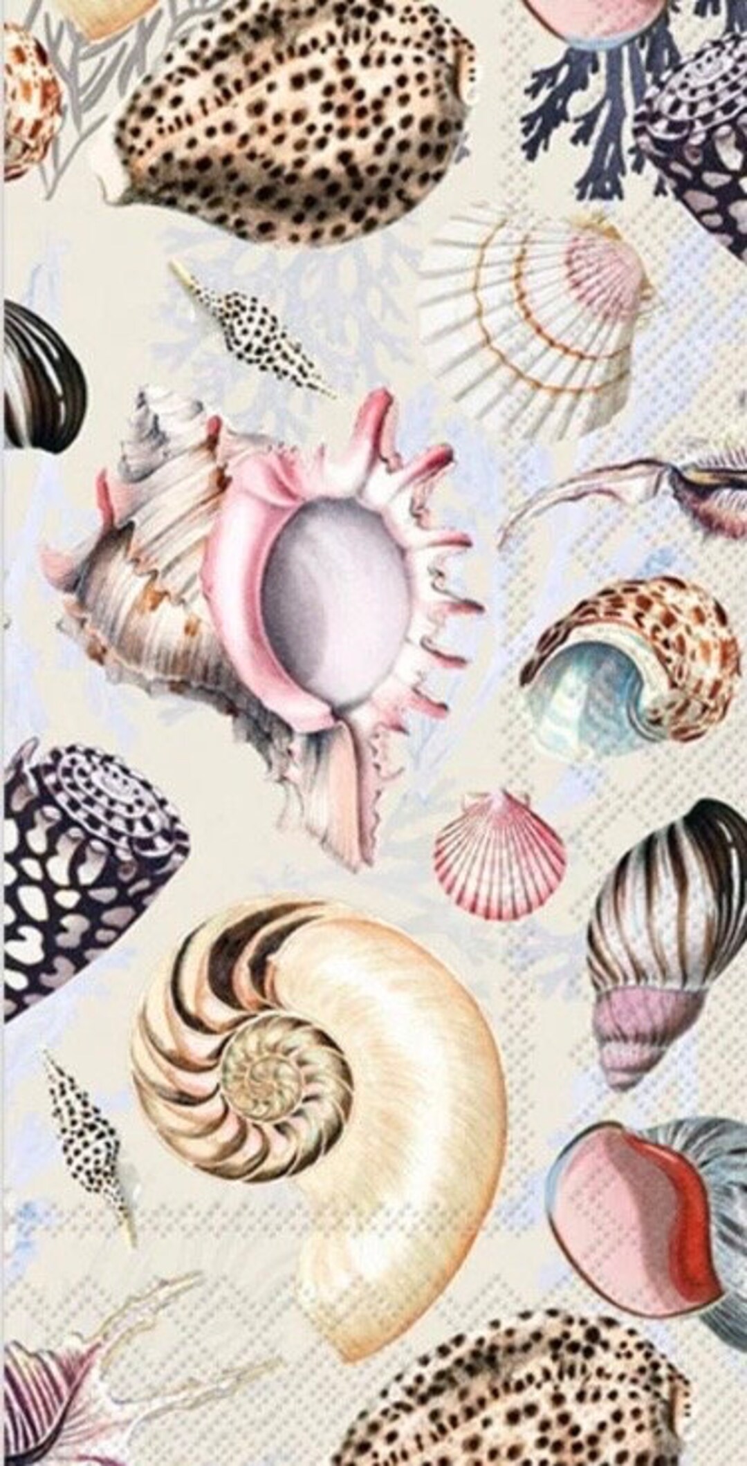 Sea Shell Decoupage, Beach Shell Paper Napkins, 2 Guest Size Colorful ...
