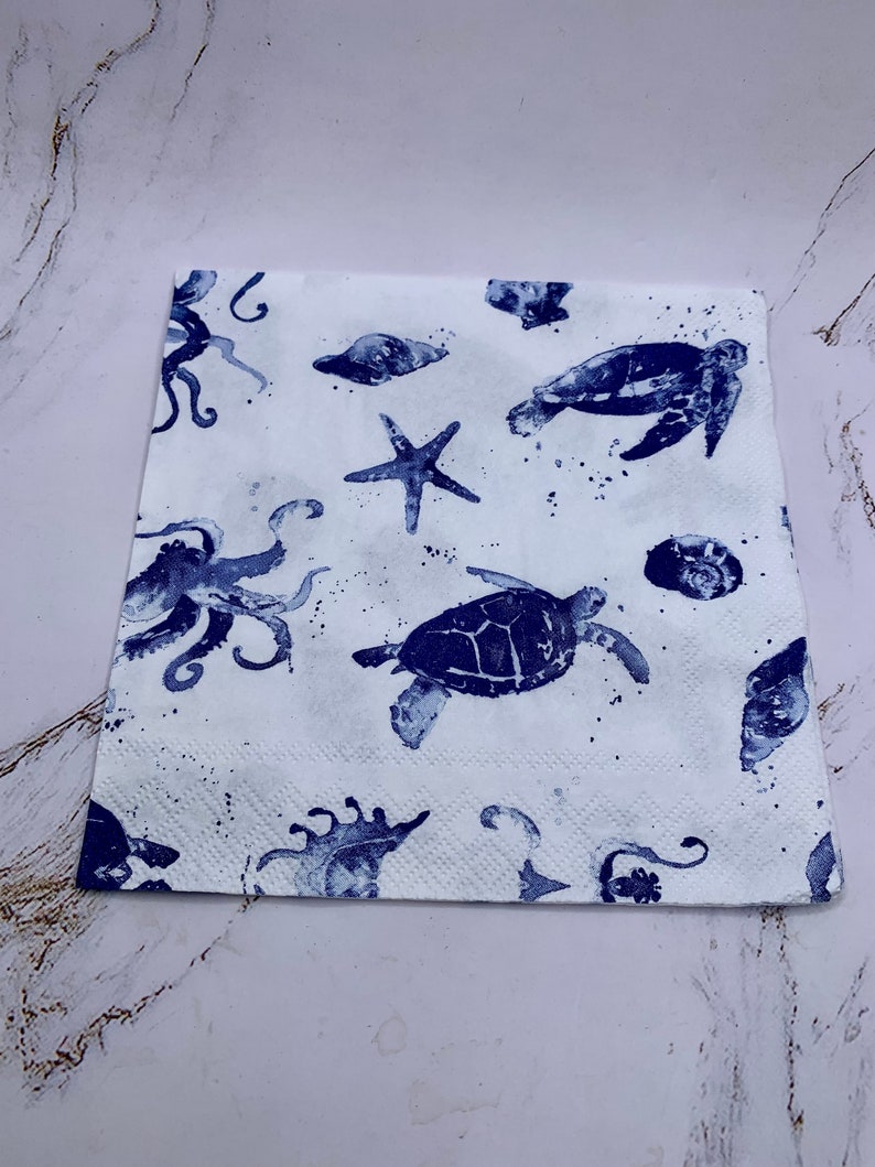 Beach DIY Oyster Ornament Kit, Coastal Beach Kit, Adult Craft Kits, DIY ...